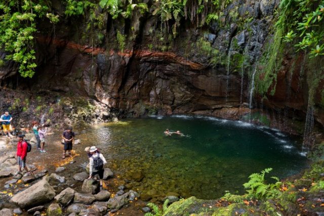Madeira. Un jardín colgante. - Revista Más Viajes